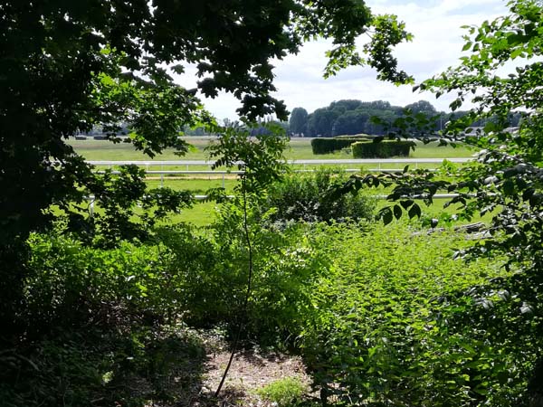 Racecourse in Cologne Weidenpesch | Vacation rental cologne